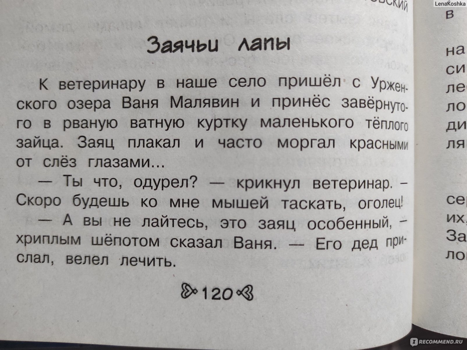 Заячьи лапы. Константин Паустовский - «Главная мысль рассказа Заячьи ...