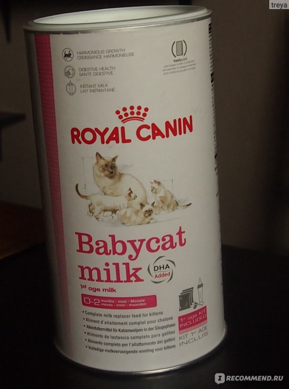 Заменитель кошачьего молока Royal Canin Babycat Milk - «Лучший вариант ...