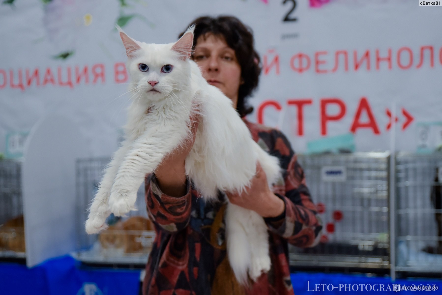 Ветеринарный препарат Forvet Форвет - «Безопасные и эффективные глазные ...