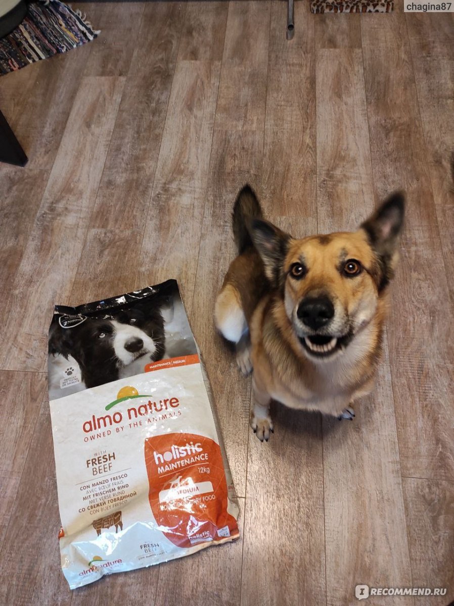 Сухой корм Almo nature Holistic для собак средних пород с говядиной ...