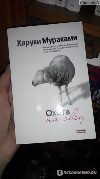 Охота на овец, Харуки Мураками - «Навсегда особенная книга для меня ...